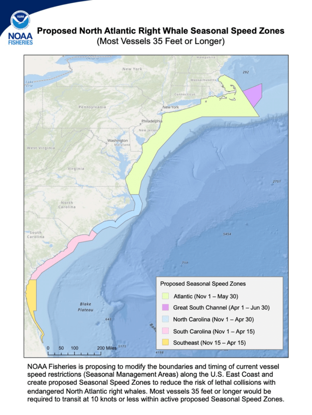 NOAA Signals Potential Shift on Right Whale Speed Rules — What It Means ...